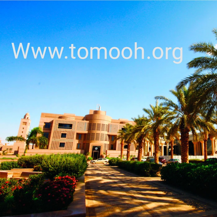 منحة جامعة الملك عبدالعزيز في السعودي